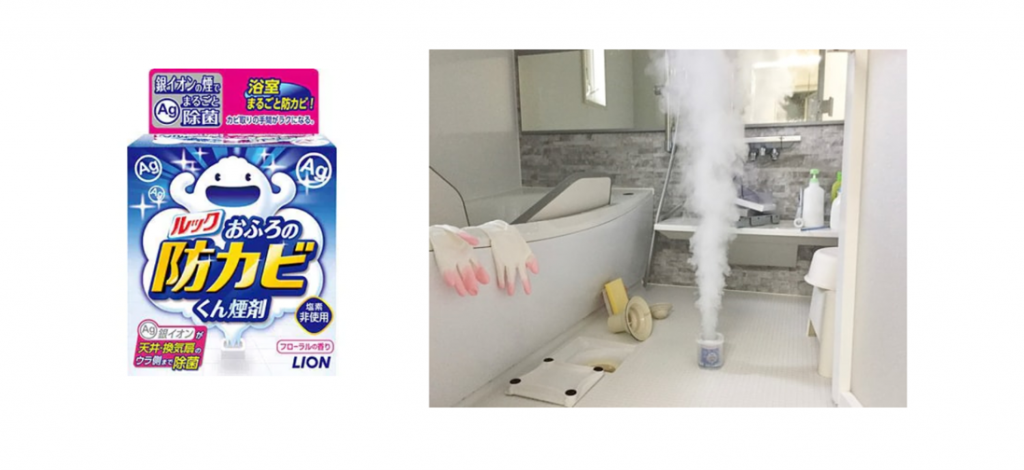 Life in Japan: Surviving Humidity in Summer (Pt. 1: Mold Threat)