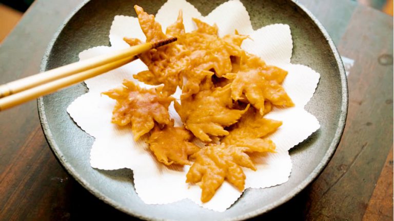 The Beauty of Momiji Season in Japan | JCE